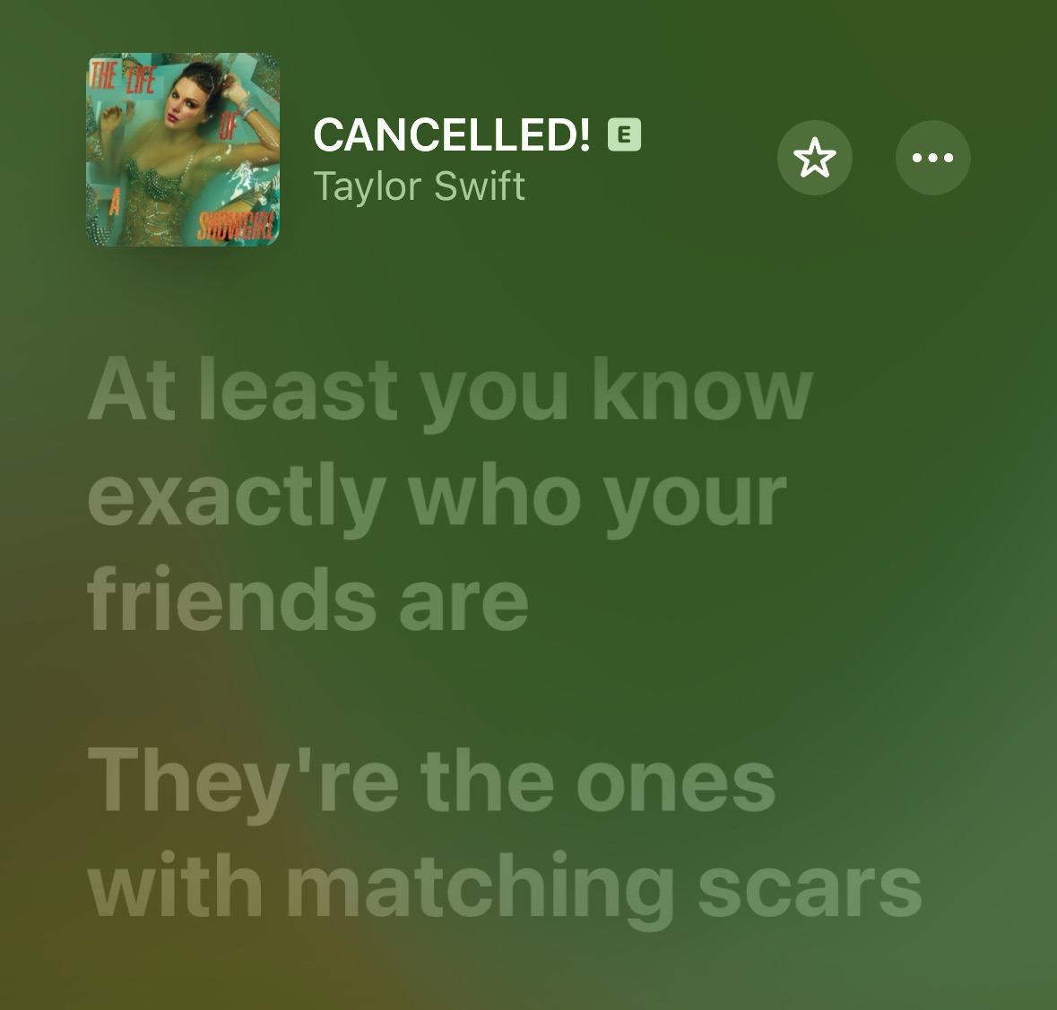 Matching Scars: Taylor Swift, Friendship, and the Cancelled ...
